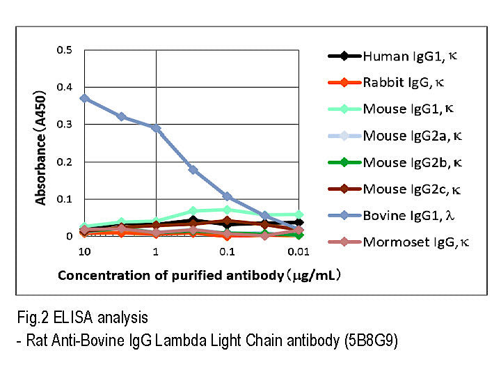 Rat Anti-Bovine IgG Lambda Light Chain mAb ( 5B8G9 ) [ CEC-S004 ] | Antibodies Collection | Cell ...